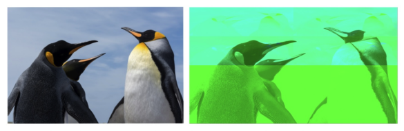 Lesson 6: RGB Color And YUV Color - ZEGOCLOUD