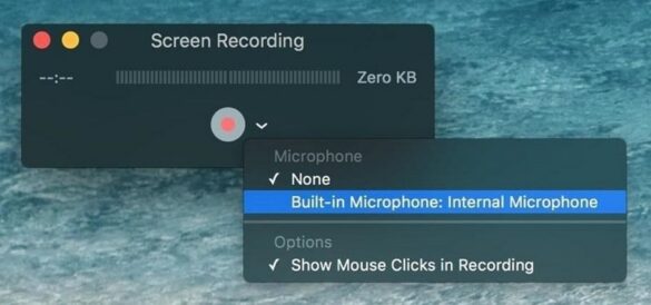 10 Best Video Recording Software in 2025 - ZEGOCLOUD