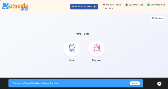 10 Best CamMatch Alternatives for Random Chat - ZEGOCLOUD